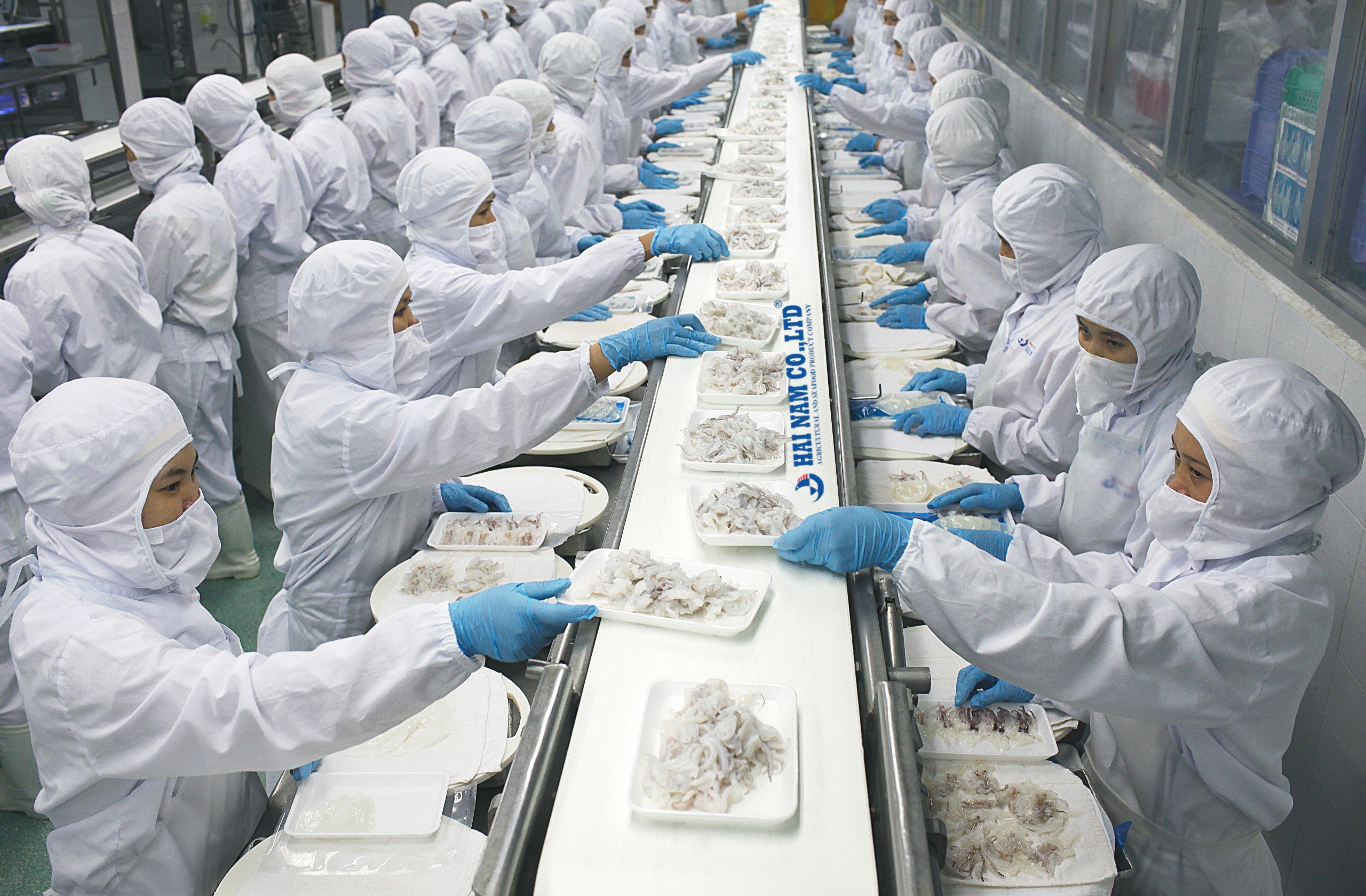 CHỦ TỊCH VASEP: 2024 – NĂM HY VỌNG CỦA NGÀNH THỦY SẢN