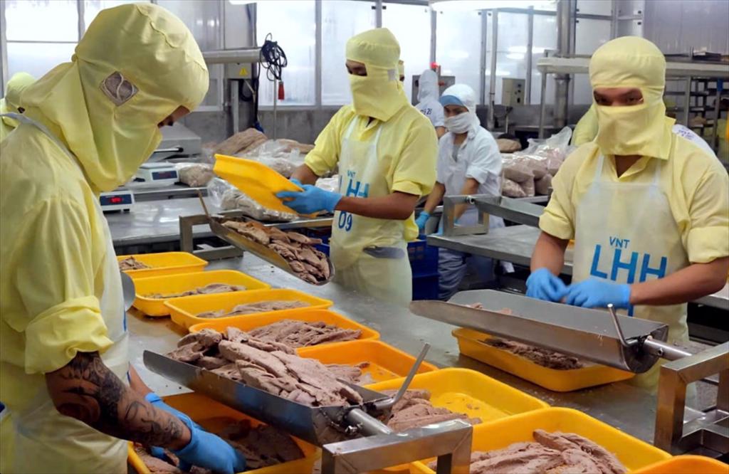 Vietnam’s tuna industry at the “0% tariff gate” in the US ...